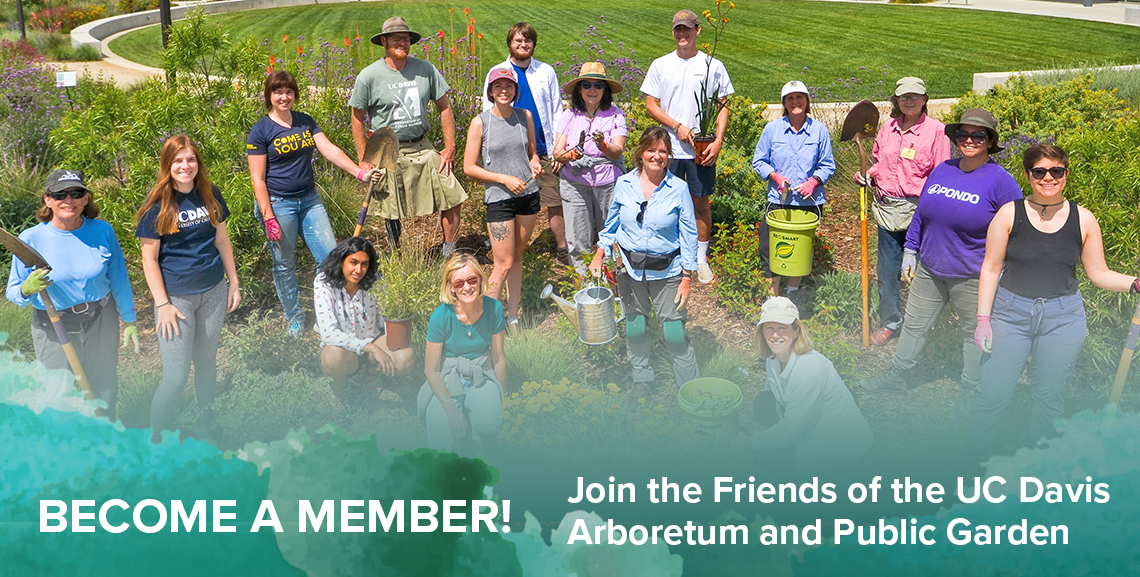 UCD AggieSurplus Store - Monitors/ TV's